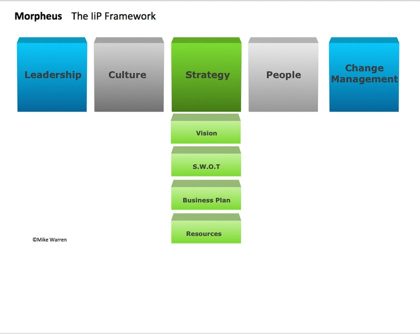 Morpheus Investors in People Model
